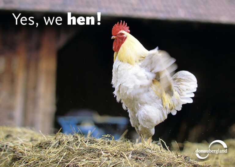 Yes, we hen! - Donaubergland